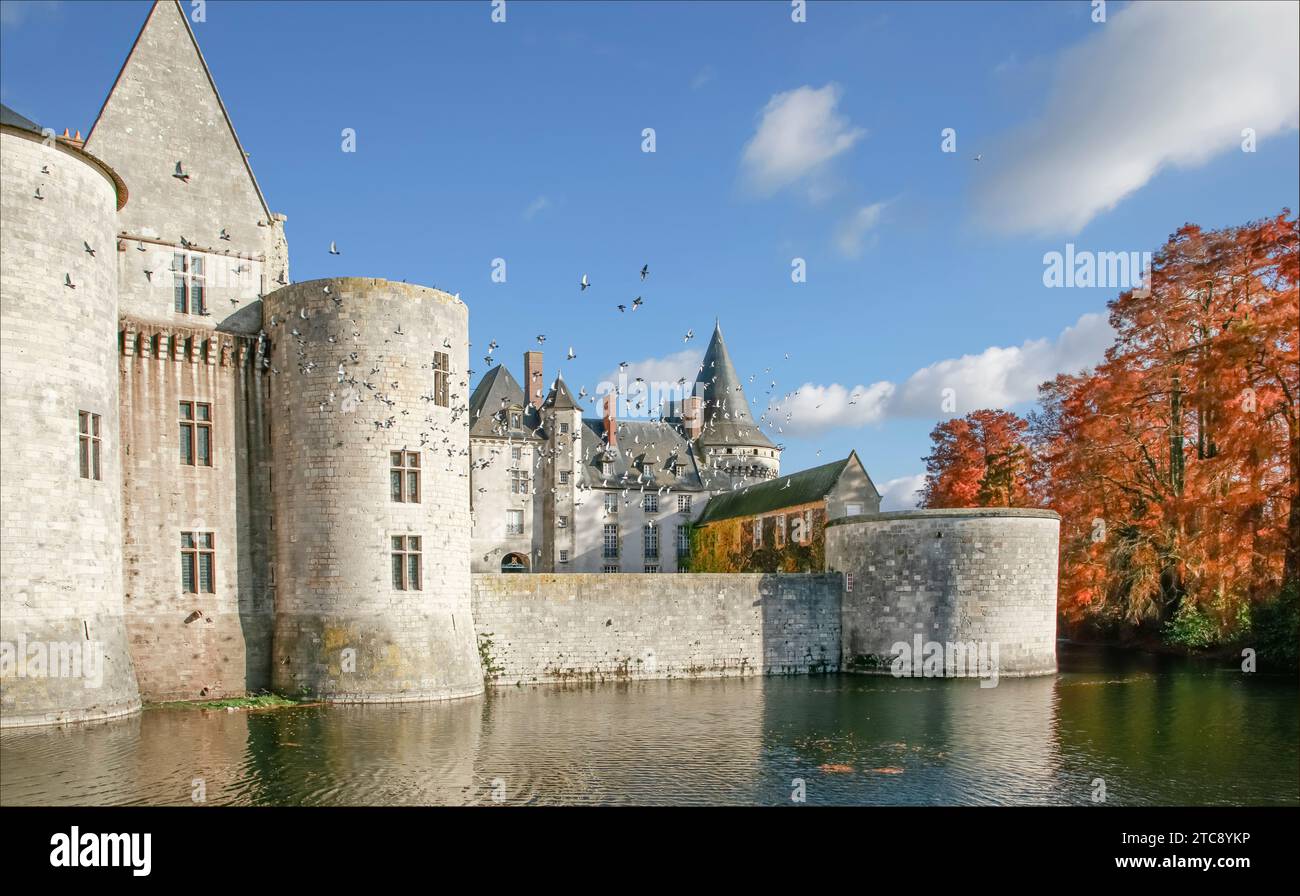 View across a castle moat with a flight of birds flying above the ...