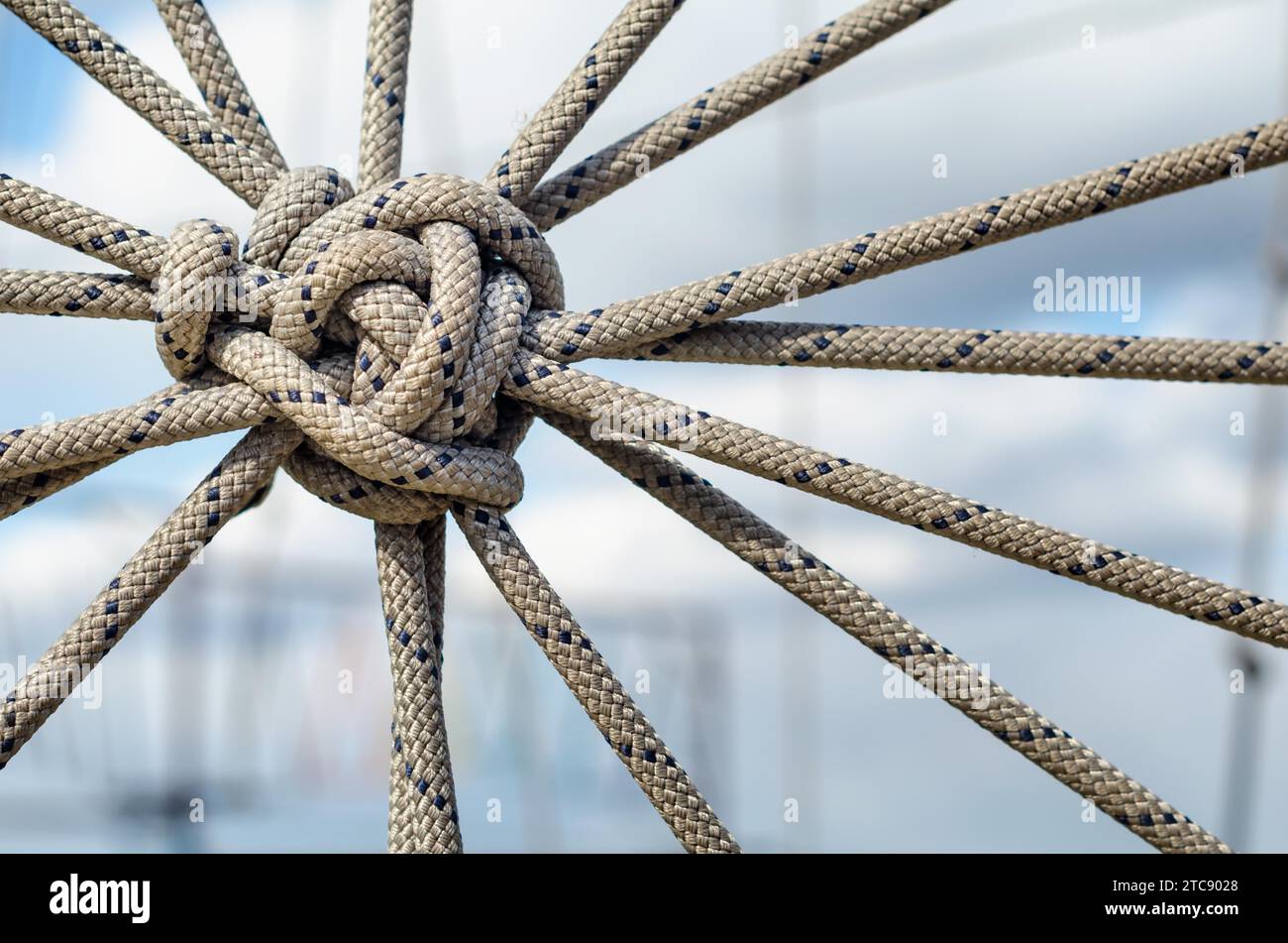 Many ropes and one big knot black and white abstract background close ...
