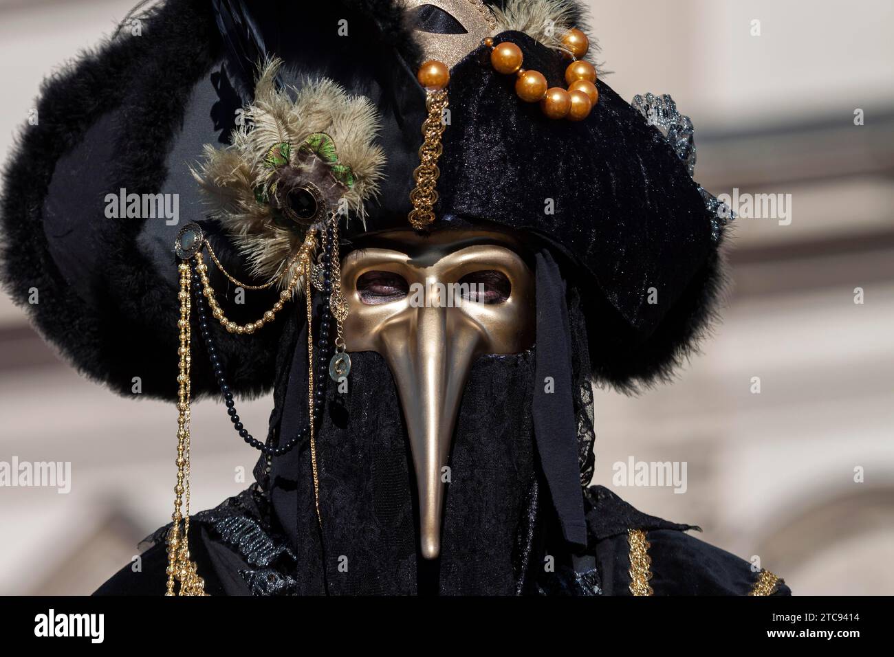 Beak mask hi-res stock photography and images - Alamy