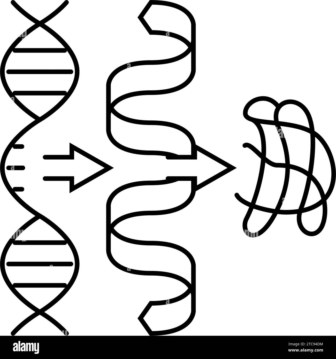 biosynthesis biochemistry line icon vector illustration Stock Vector ...