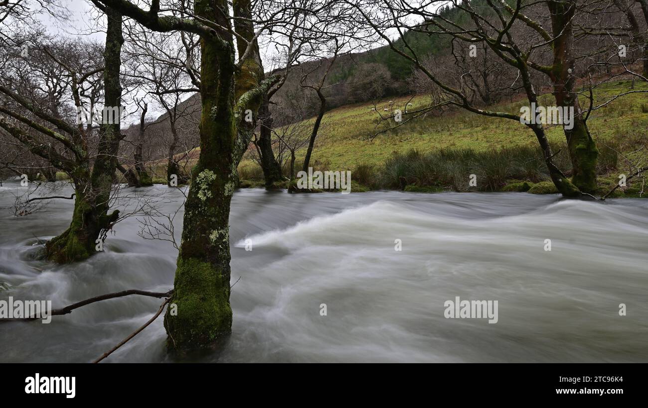 Afon dulas hi-res stock photography and images - Alamy
