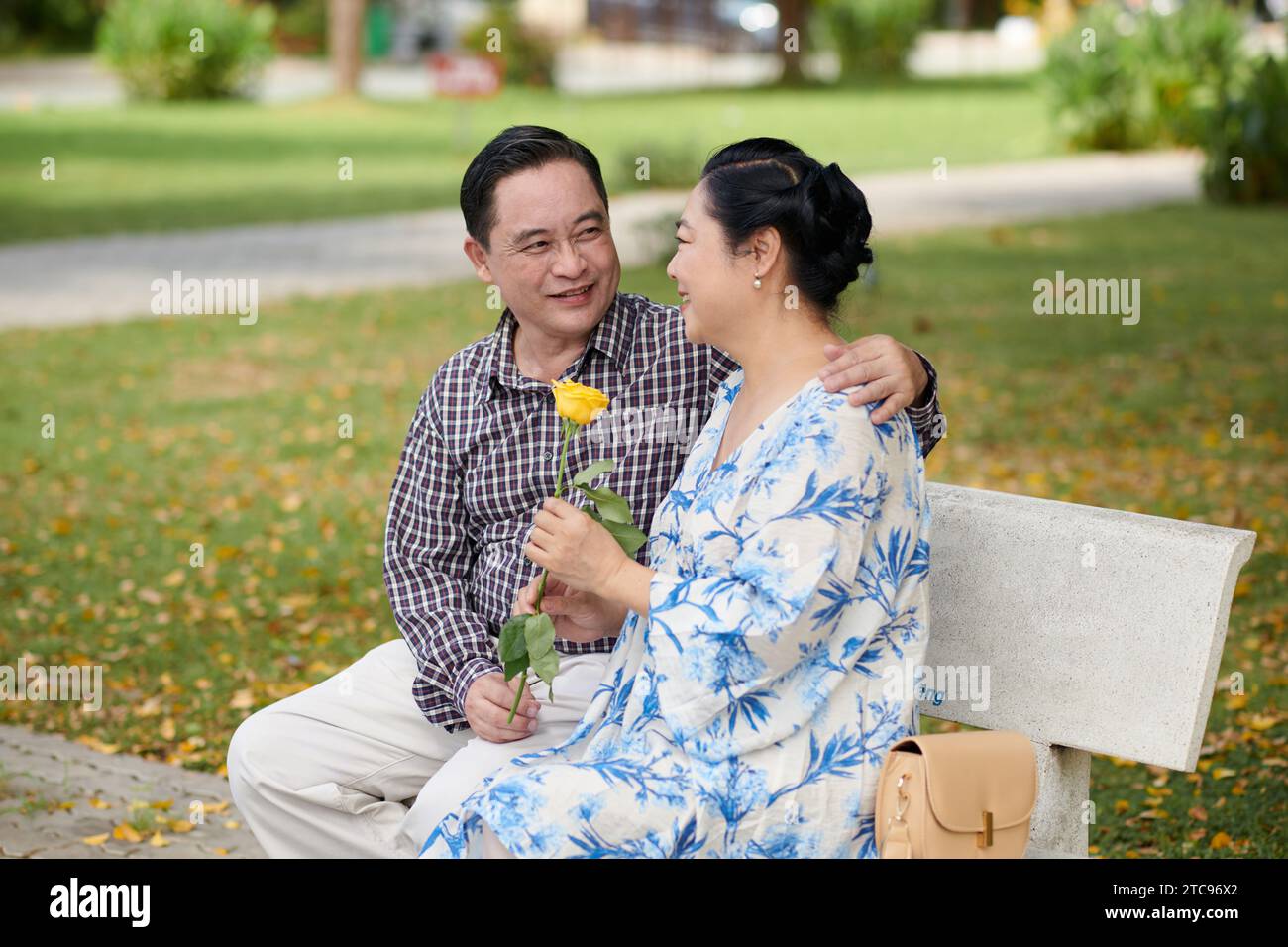 Smiling senior man hugging wife and giving her yellow rose Stock Photo ...