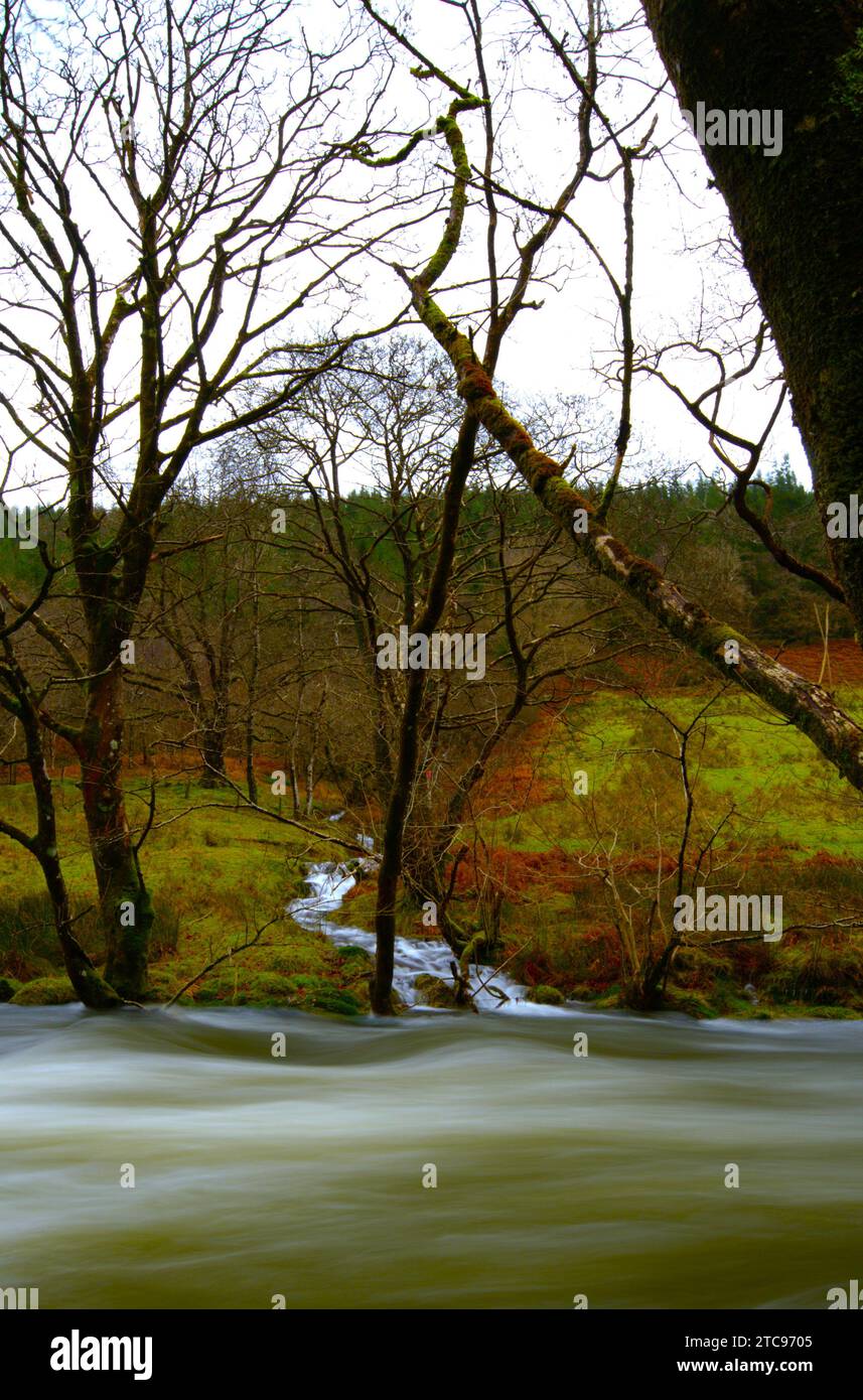 High water level in welsh river hi-res stock photography and images - Alamy