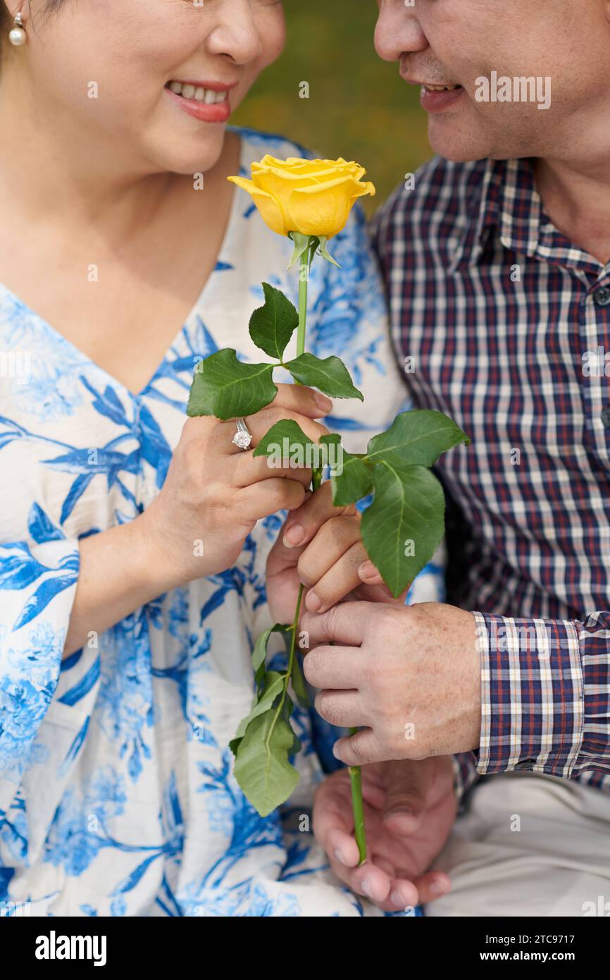 Cropped image of senior man giving rose to wife to express his feelings ...