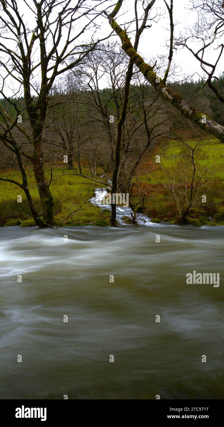 Dulas hi-res stock photography and images - Alamy