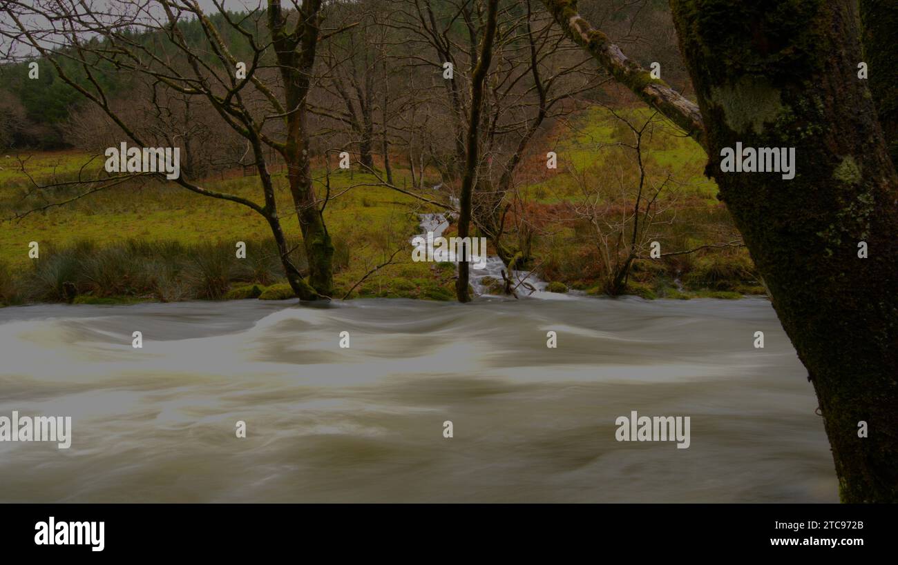 Dulas hi-res stock photography and images - Alamy