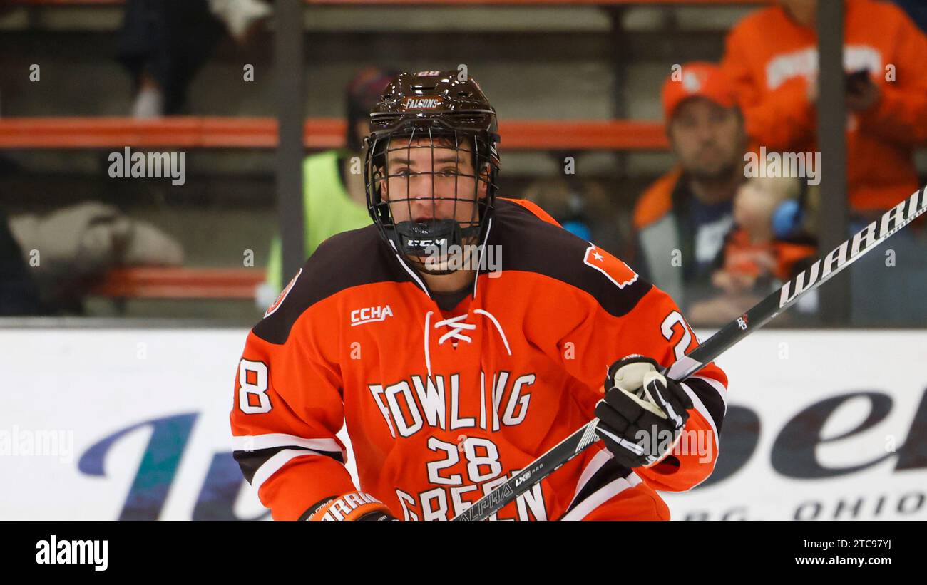 Bowling Green forward Jaden Grant (28) skates against the Ferris St ...