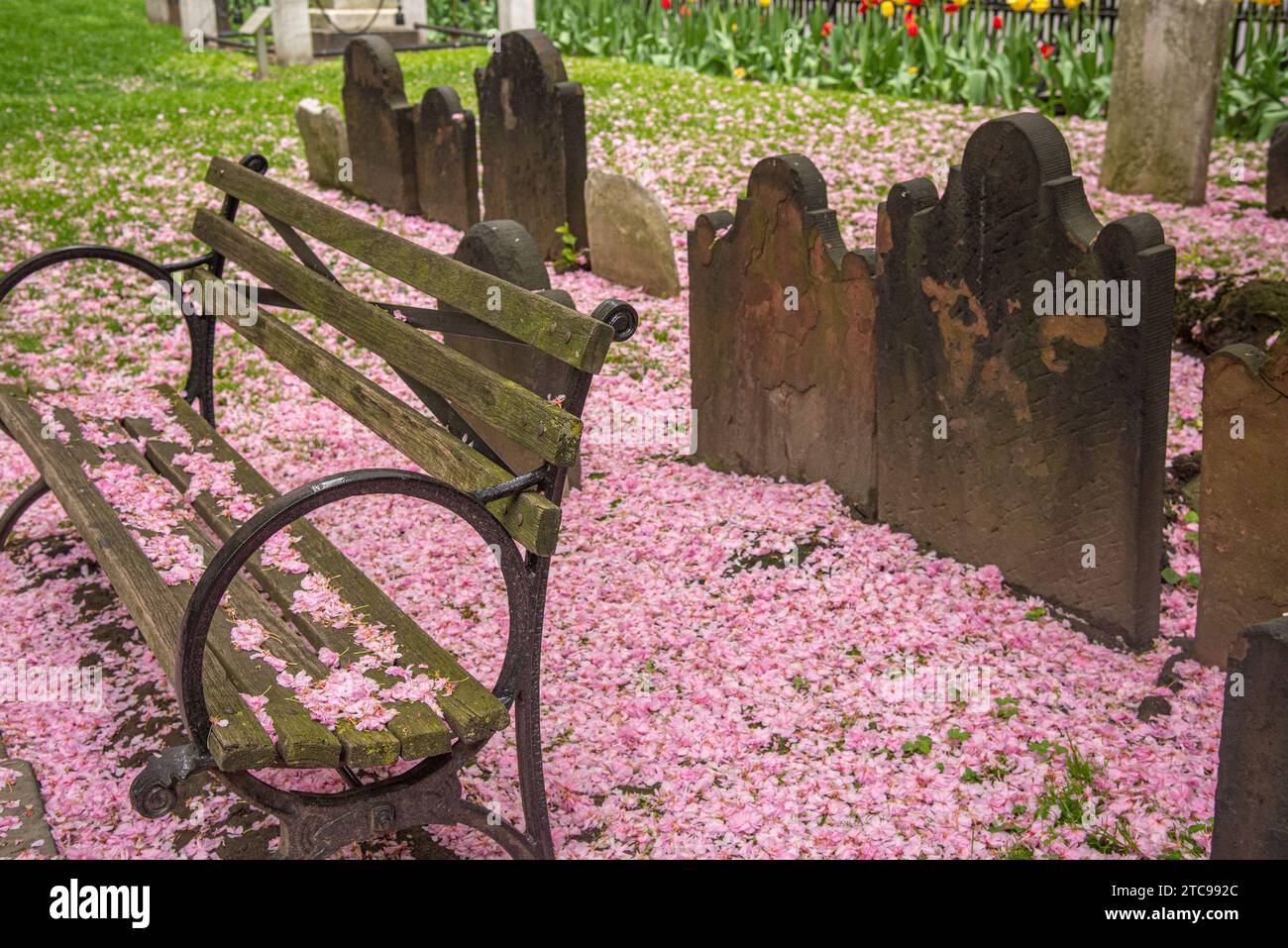 Trinity church graveyard cemetery hi-res stock photography and images ...