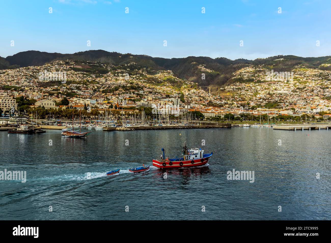 A view of Funchal, Madeira from a ship in the harbour Stock Photo - Alamy