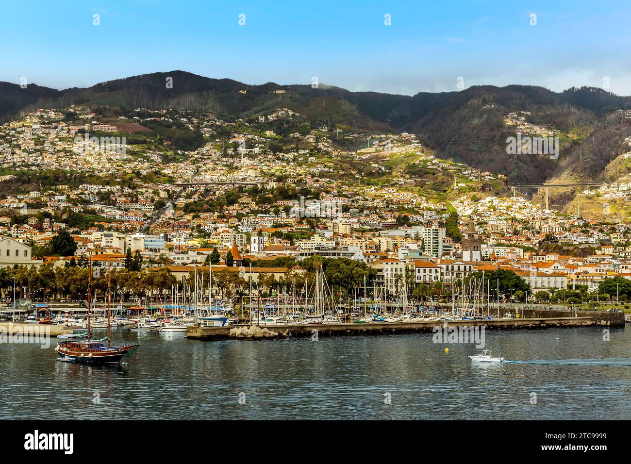 Harbour wall funchal madeira hi-res stock photography and images - Alamy