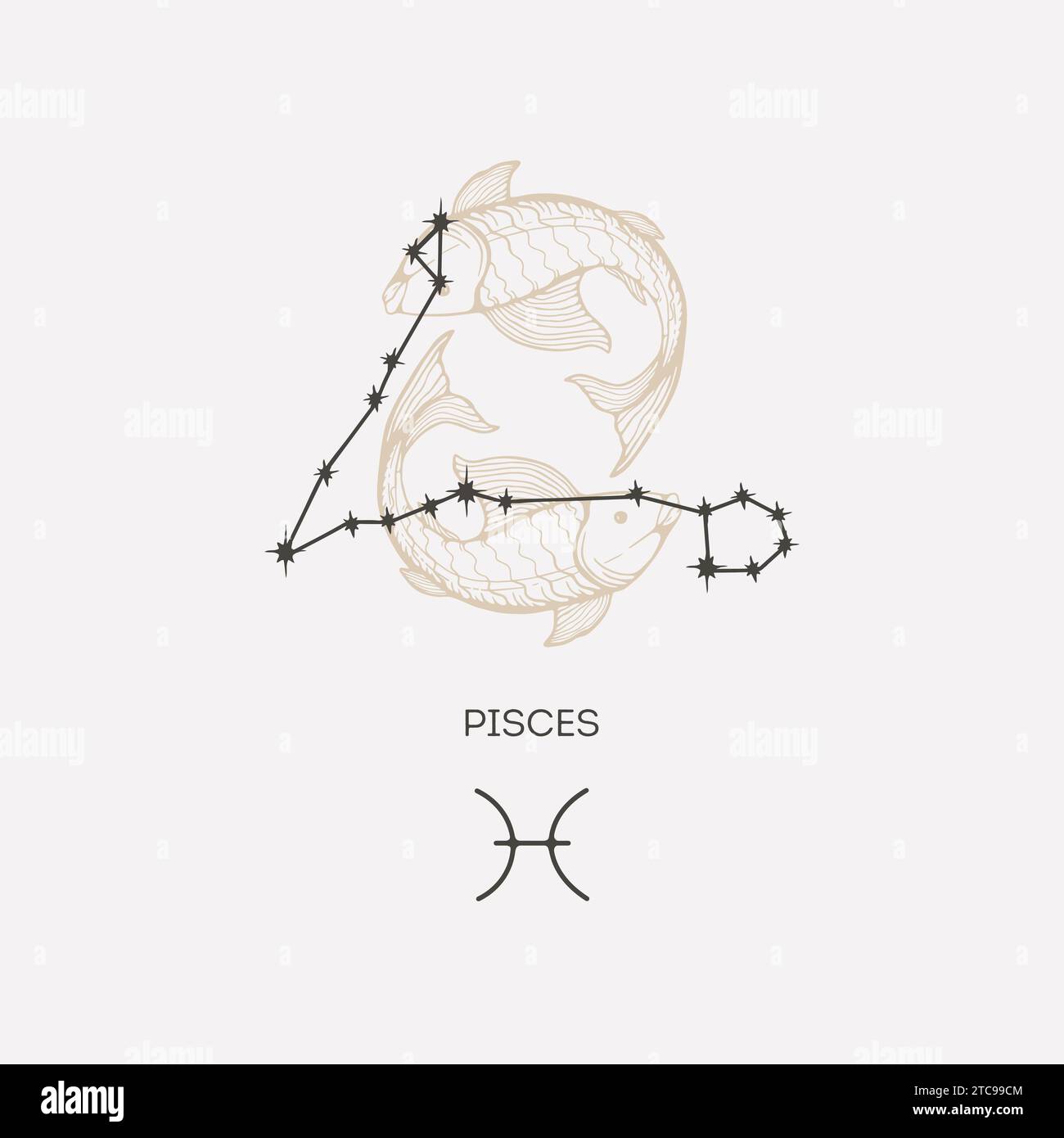 Pisces constellation vector illustration Stock Vector Image & Art - Alamy