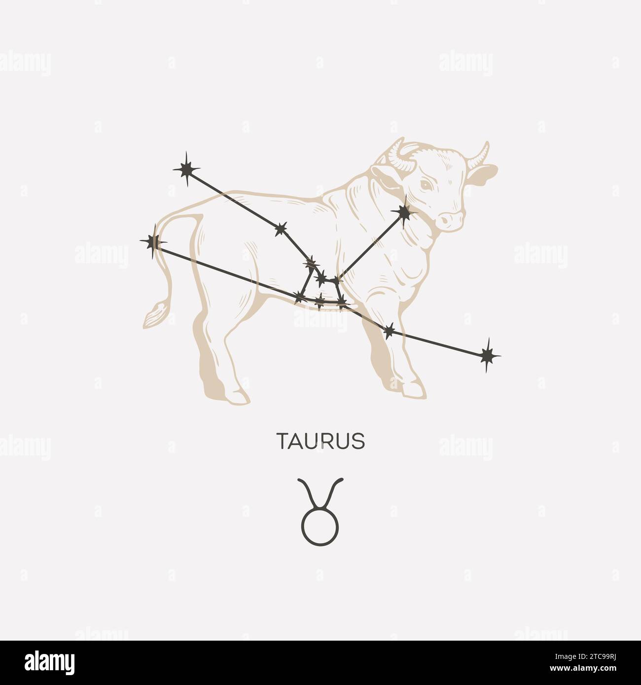 Taurus constellation vector illustration Stock Vector Image & Art - Alamy