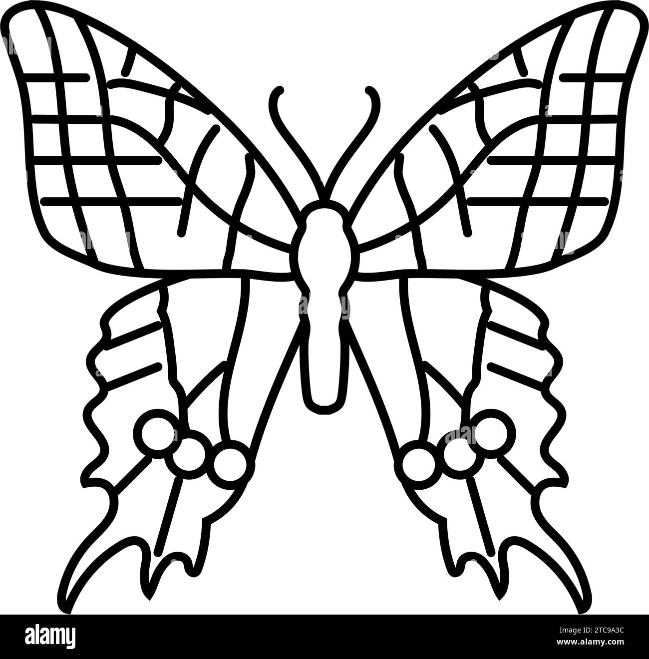 two tailed swallowtail insect line icon vector illustration Stock ...