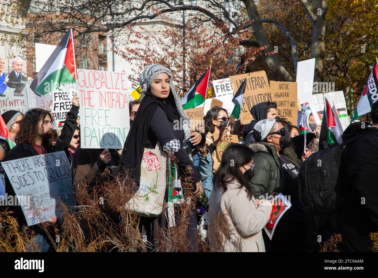 Pro-Palestinian rally held on Black Friday in New York City to protest ...
