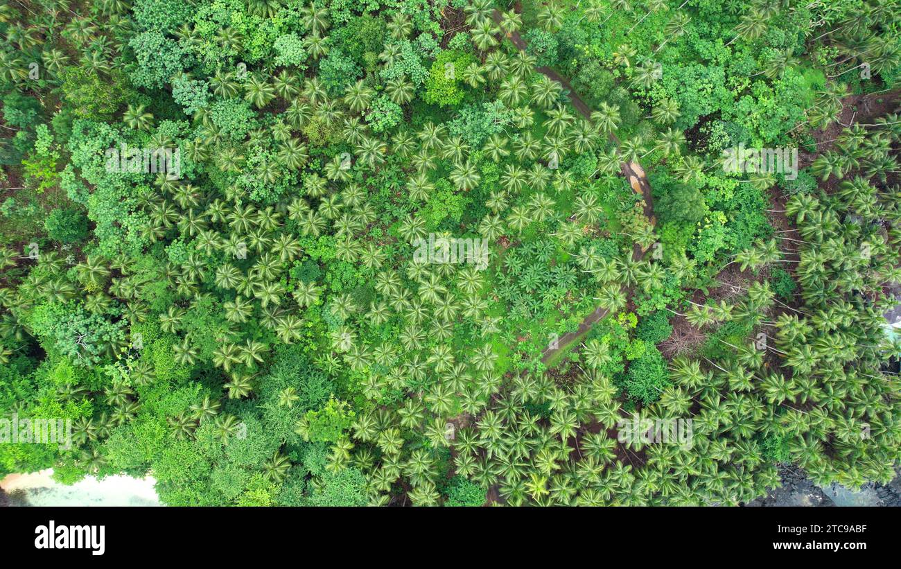 Flora e fauna africa hi-res stock photography and images - Alamy