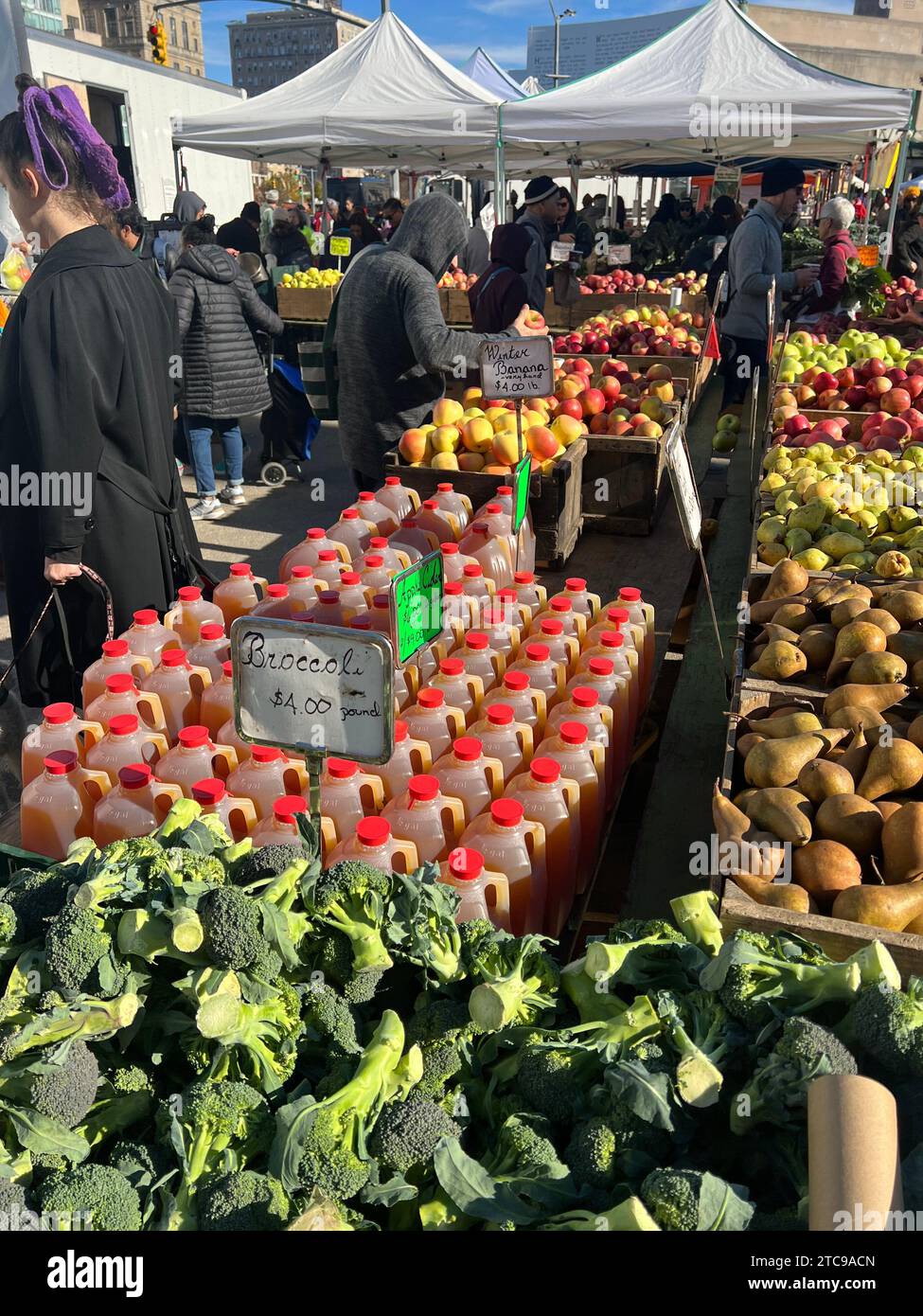 Autumn day just before Thanksgiving at the Grand Army Plaza Farmers ...