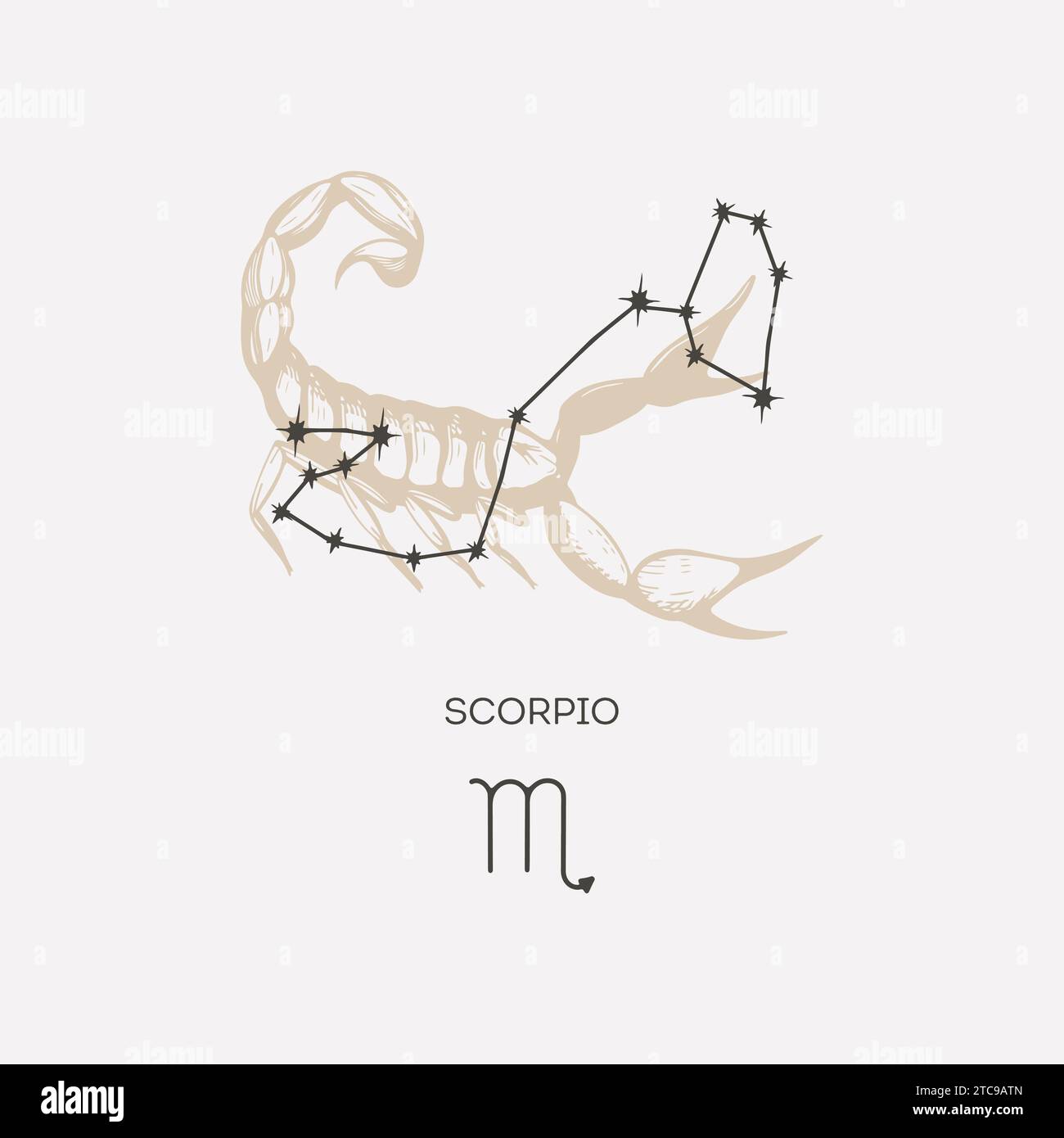 Scorpio constellation vector illustration Stock Vector Image & Art - Alamy