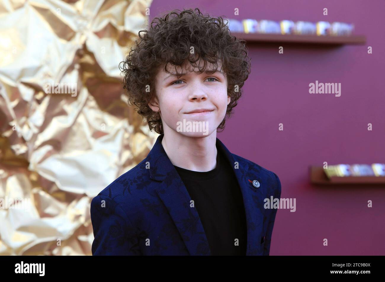 Colin O Brien bei der Premiere des Kinofilms Wonka im Regency Village ...