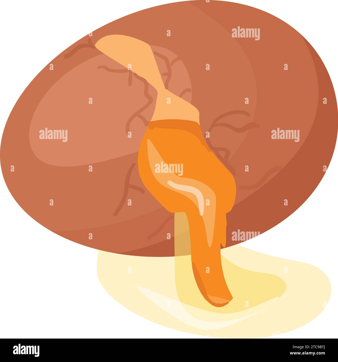 Fresh yolk egg icon cartoon vector. Broken eggshell Stock Vector Image ...