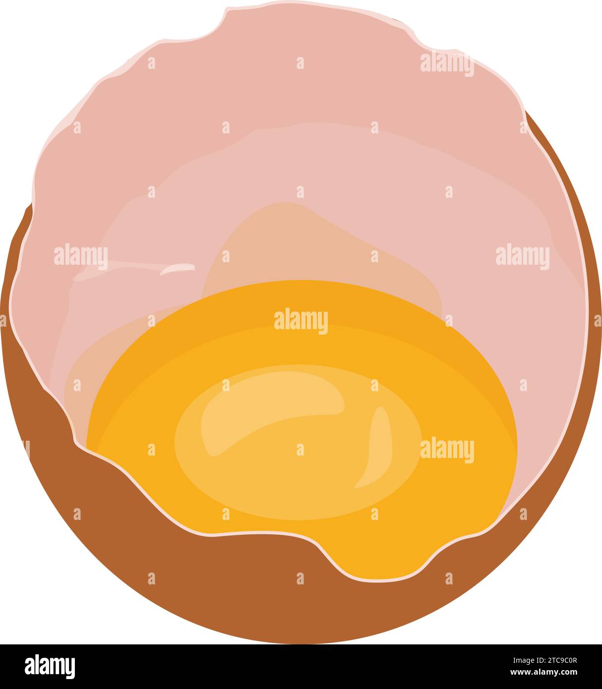 Firm ovules egg icon cartoon vector. Broken eggshell Stock Vector Image ...