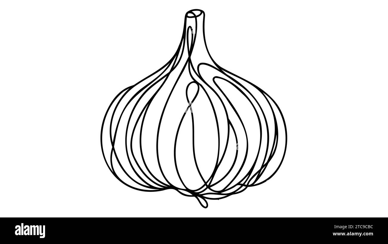 Garlic in continuous line art drawing style. Garlic bulb minimalist ...