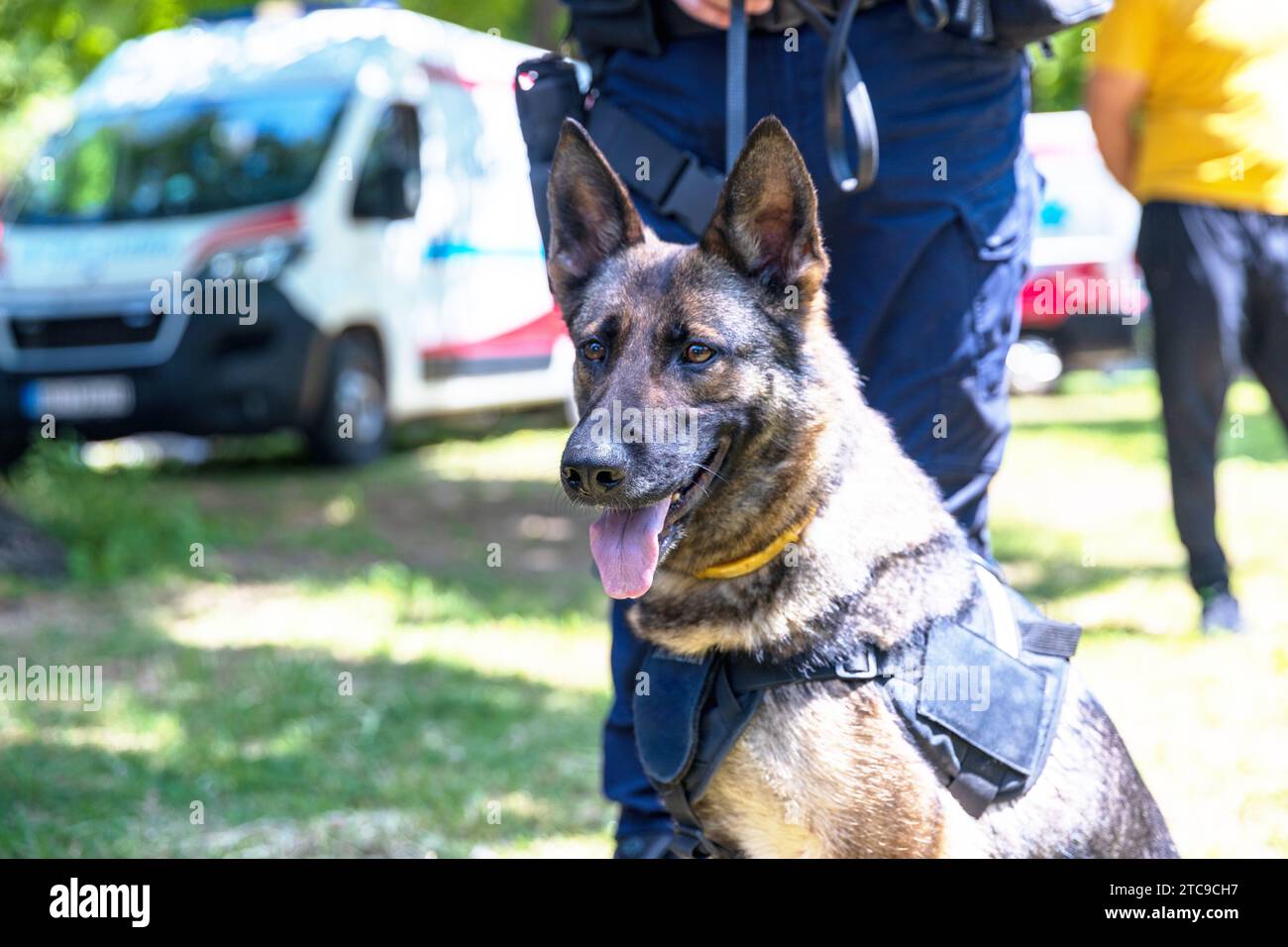 K9 uniform hi-res stock photography and images - Alamy