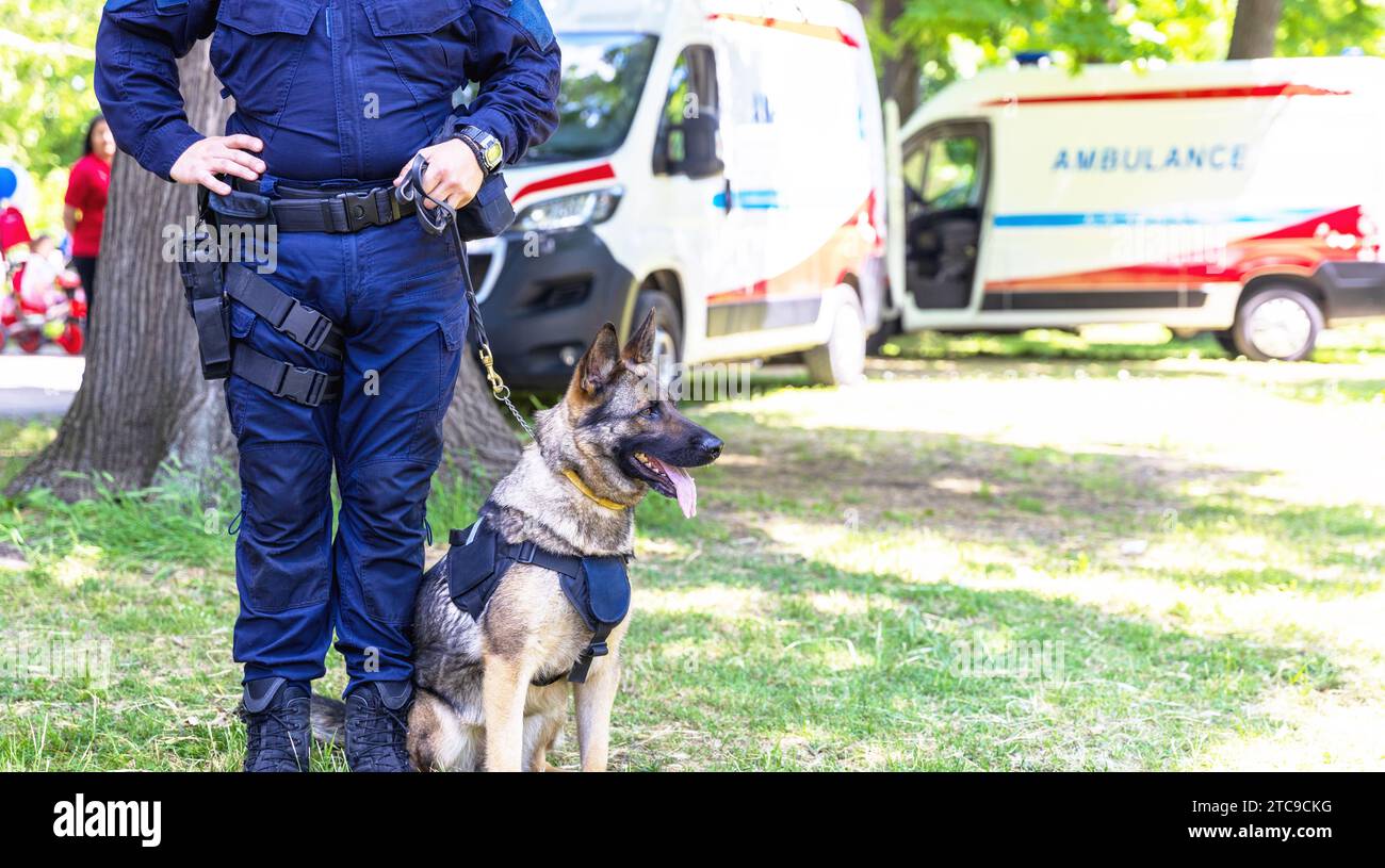 Police officer in uniform on duty with aged K9 canine German shepherd police dog, blurred people ...