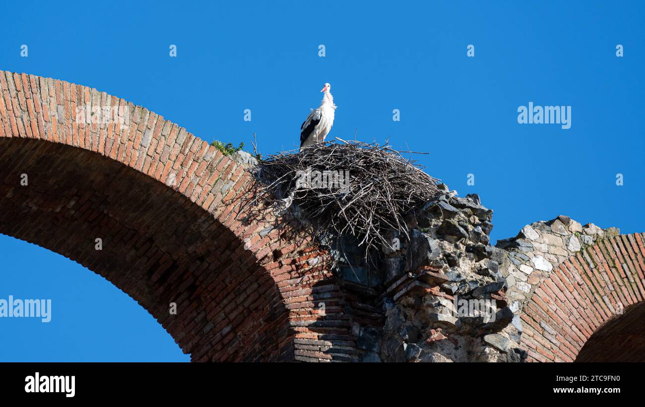Stork in nest atop an ancient brick arch against a clear blue sky Stock ...
