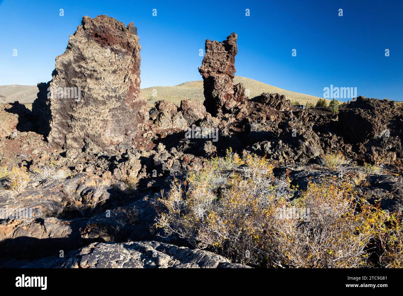 Aa lava rocks rising above vegetation growing out of the lava along the ...