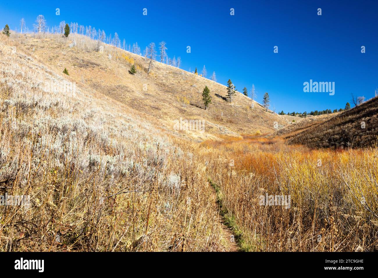 The Wilson Canyon Trail bending through the bottom of large open hills ...