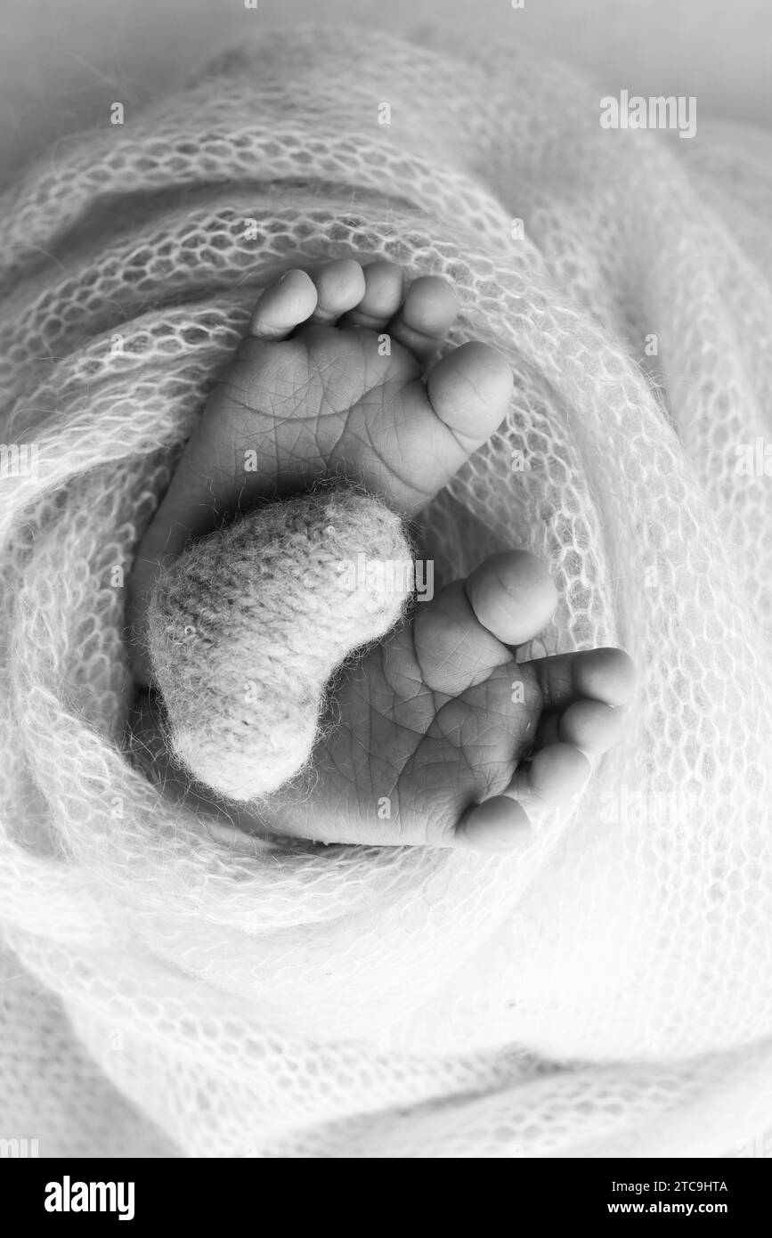 The tiny foot of a newborn baby. Soft feet of a new born in a wool ...