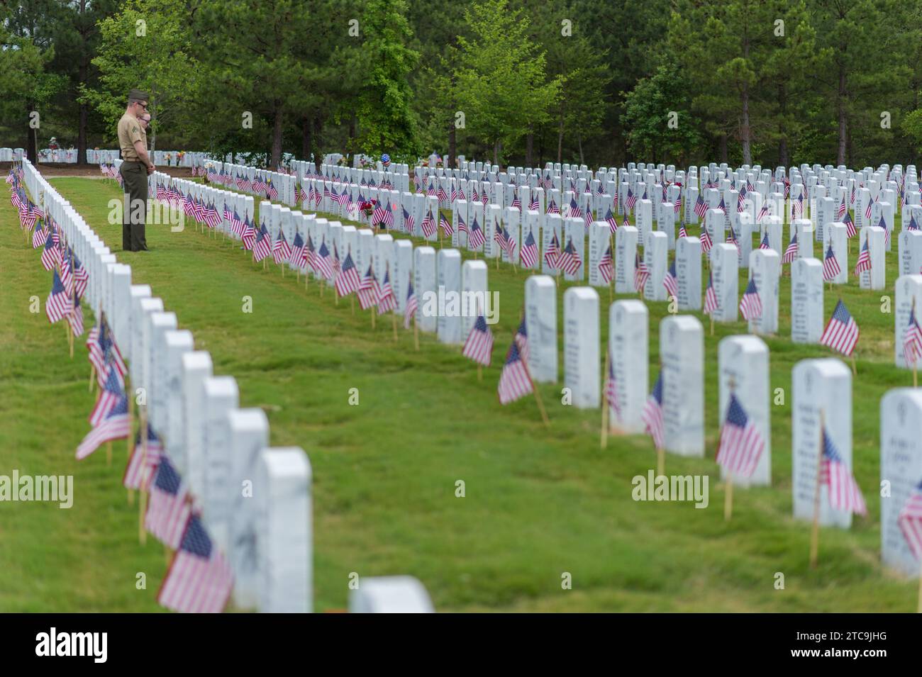 Memorial Day @ Georgia National Cemetery Stock Photo - Alamy
