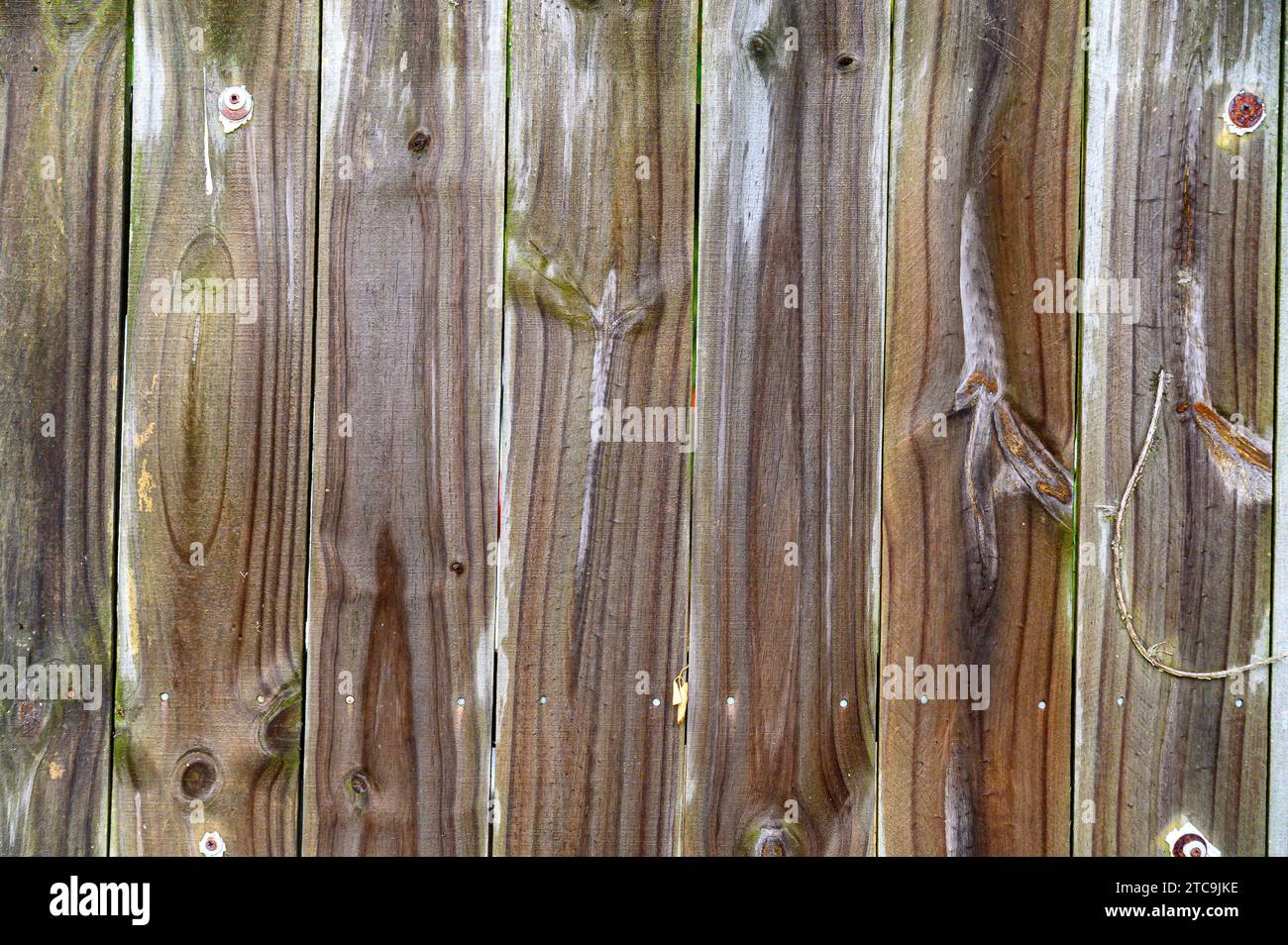 Alive in Roswell is a free family-friendly monthly festival held every ...