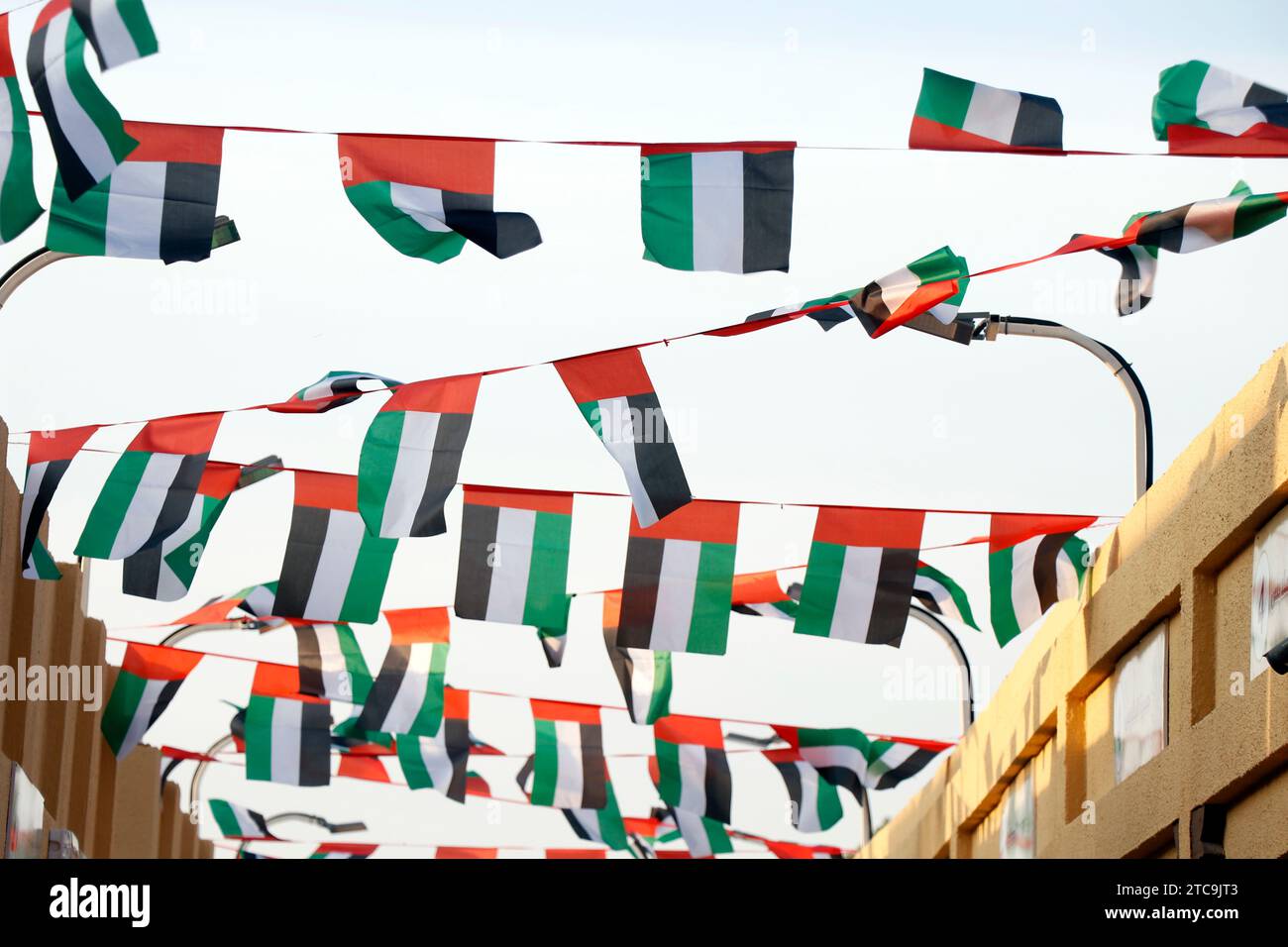 united arab emirates national flags decorated during uae national day ...