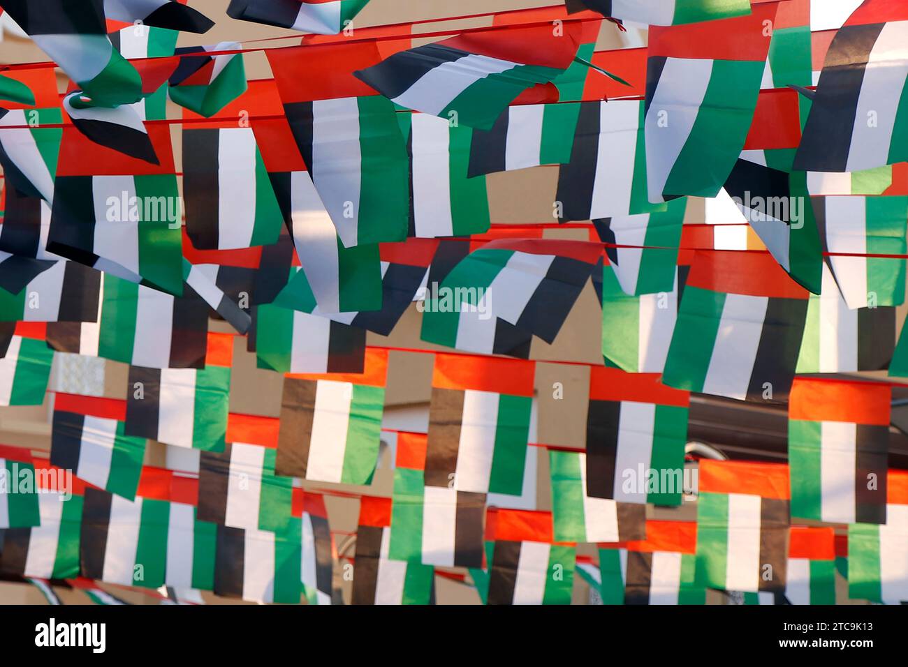 united arab emirates national flags decorated during uae national day ...