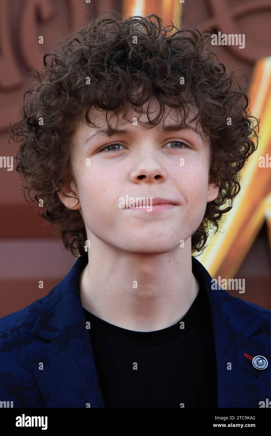 Colin O'Brien bei der Premiere des Kinofilms 'Wonka' im Regency Village ...