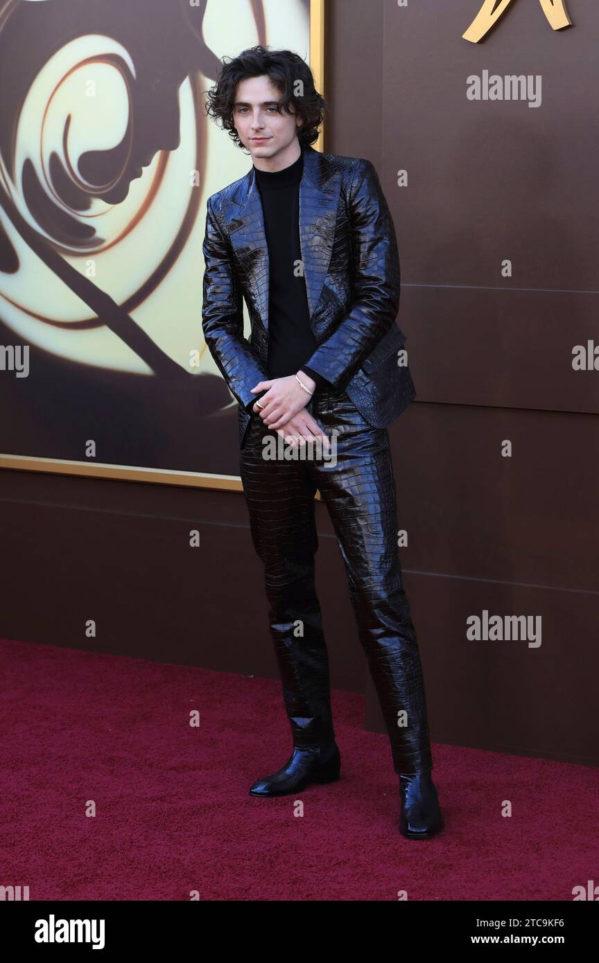 Timothee chalamet wonka hi-res stock photography and images - Alamy