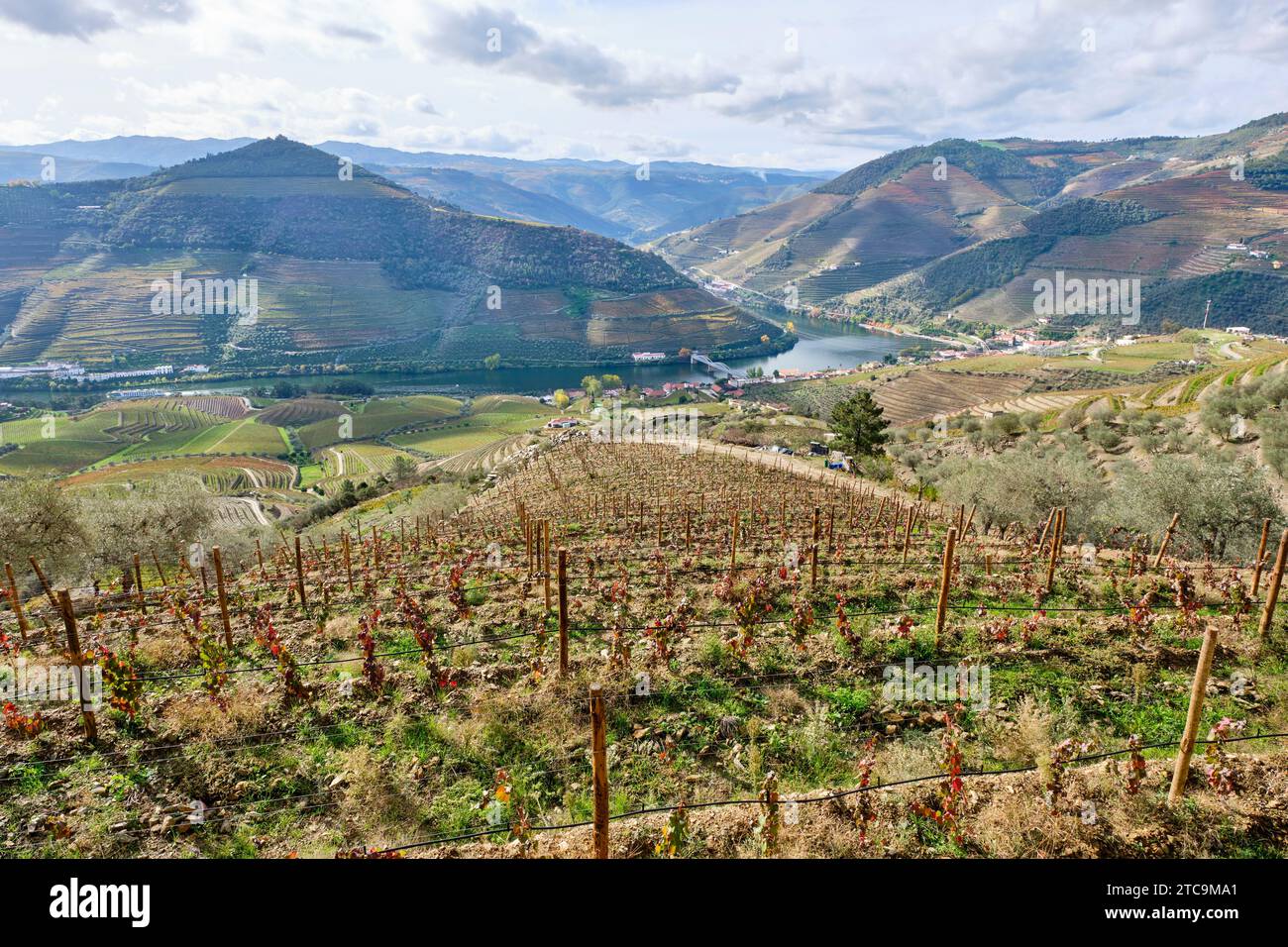 A panoramic view of the Douro Valley, showing the Douro River, multiple ...