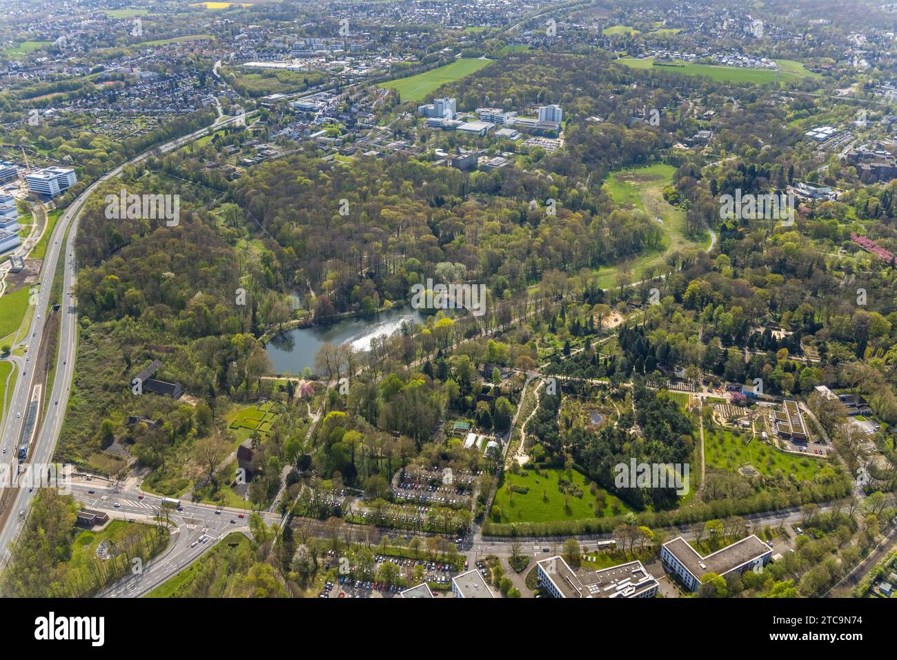 Rombergpark botanical garden hi-res stock photography and images - Alamy