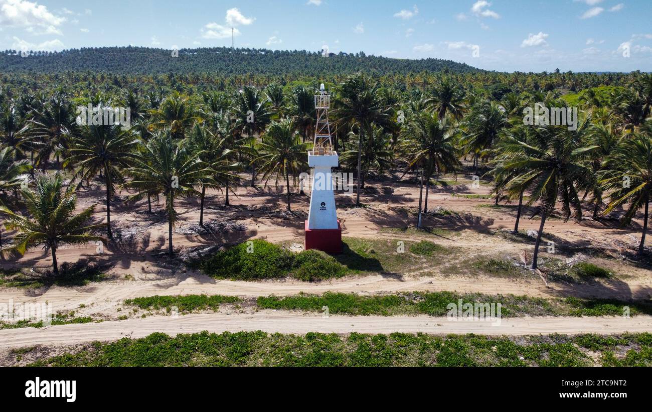 The incredible Praia do Gunga, Brazil. The coastline full of palm trees ...