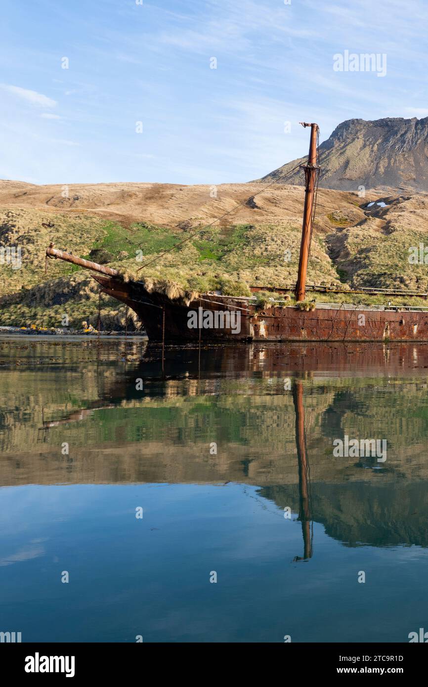 United Kingdom (BOT) South Georgia Island, Ocean Harbor. The wreck of ...