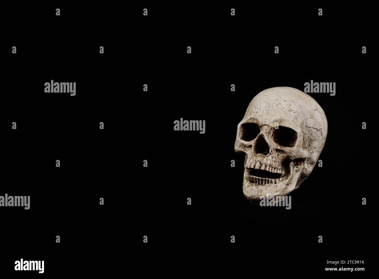 Realistic skull decoration positioned on the side of the frame, gazing ...