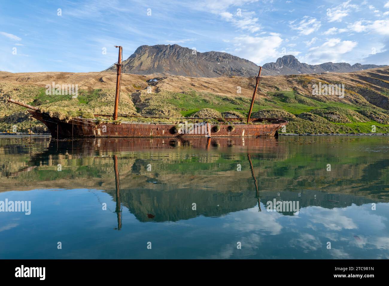 United Kingdom (BOT) South Georgia Island, Ocean Harbor. The wreck of ...