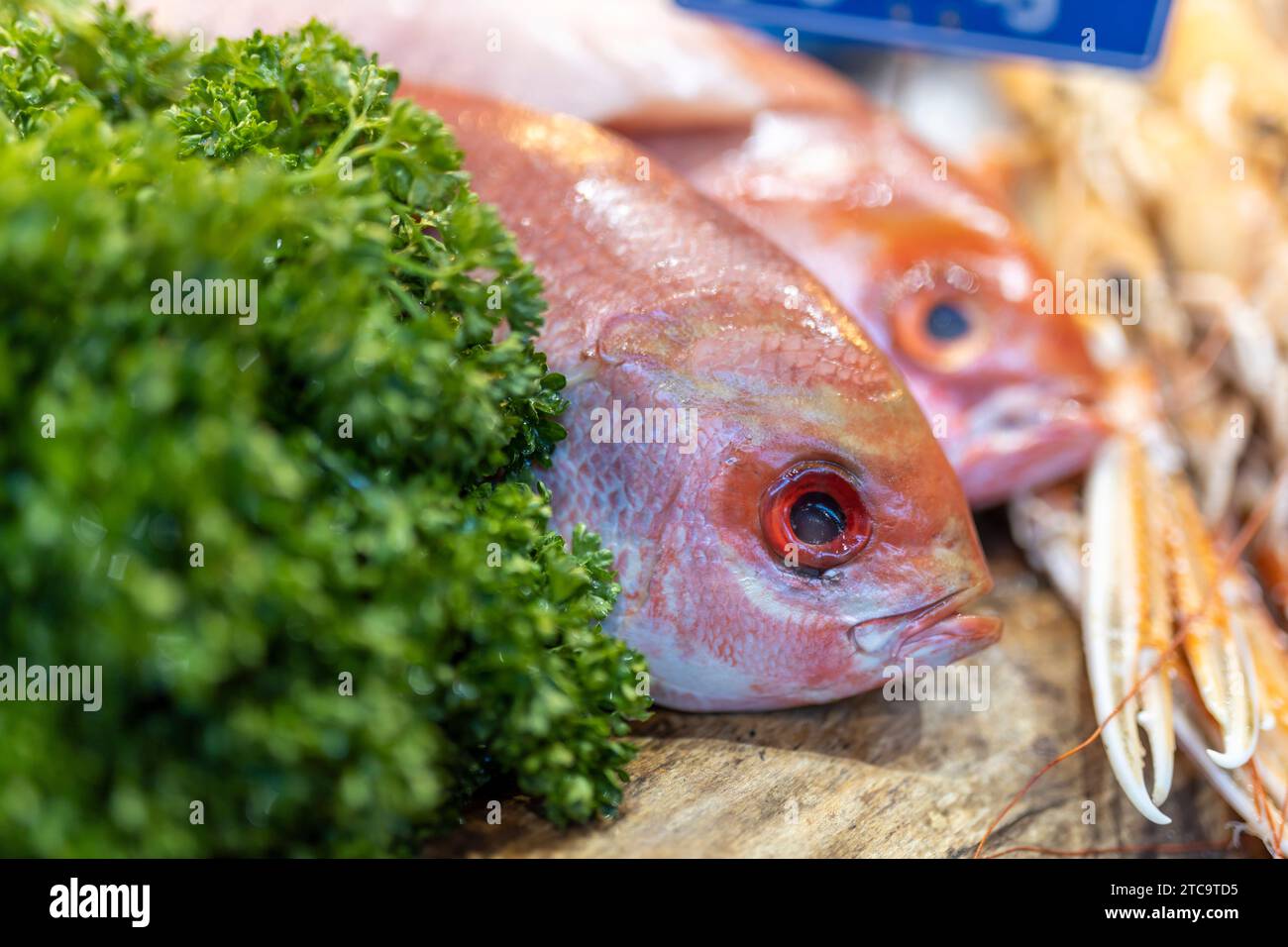 Emperor red snapper fish hi-res stock photography and images - Alamy