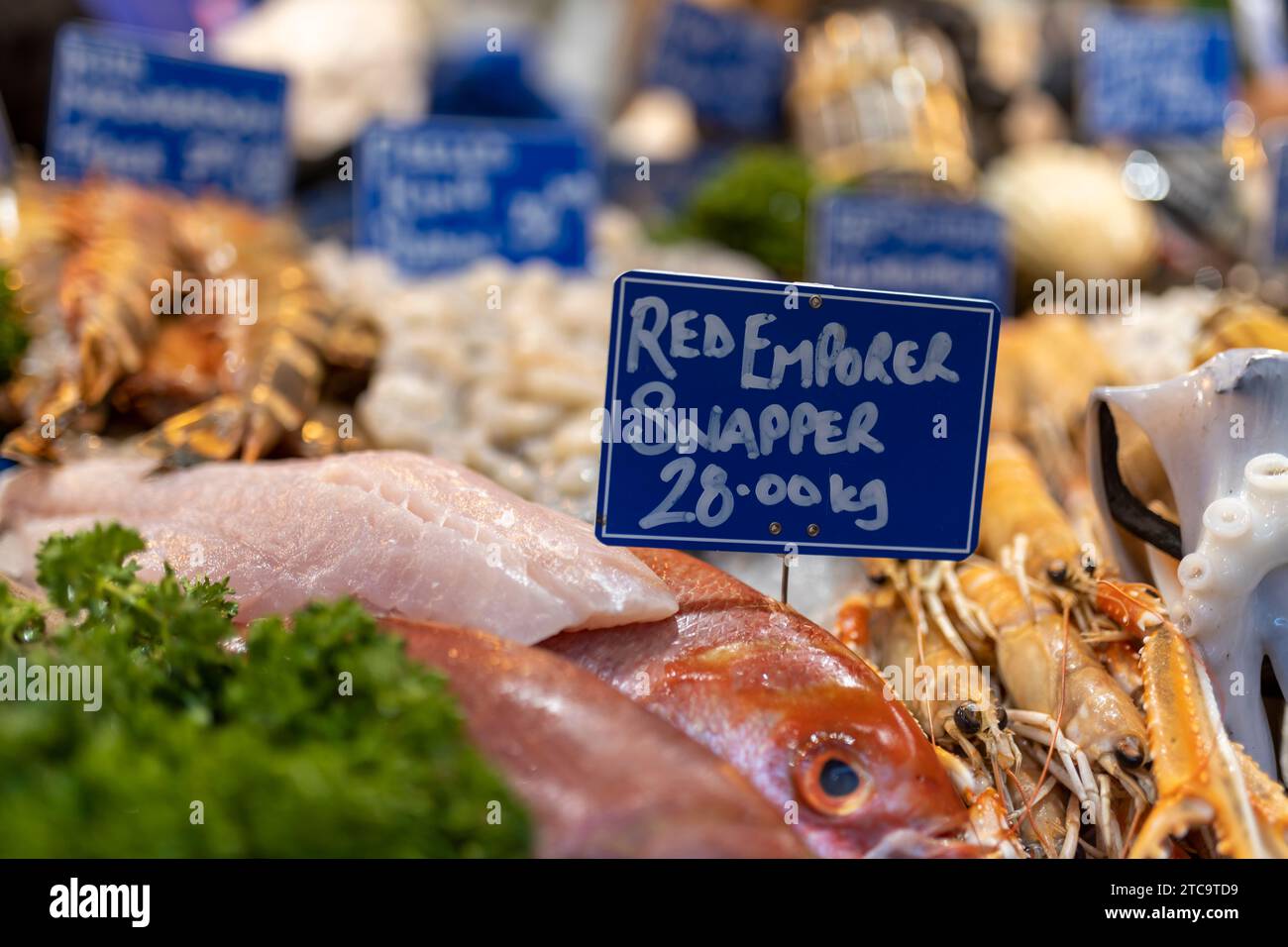 Fish emperor snapper hi-res stock photography and images - Alamy