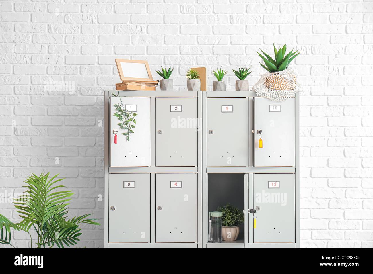 Modern locker with plants near white brick wall Stock Photo - Alamy