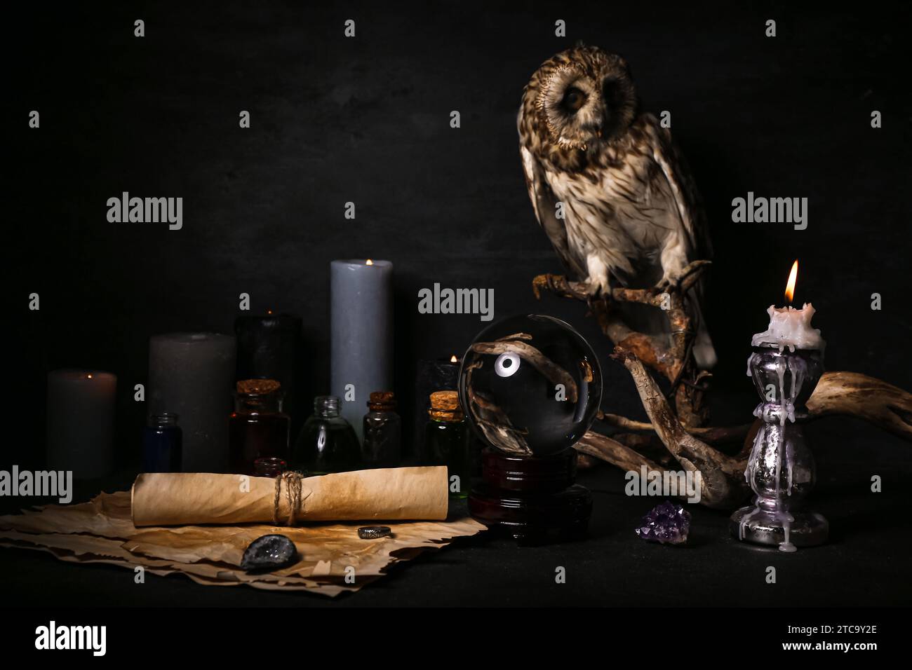 Witch's magic attributes with scroll and owl on dark table Stock Photo ...