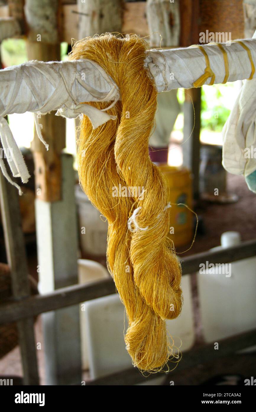Silk hanging to dry at a farm in Pattaya, Thailand Stock Photo - Alamy