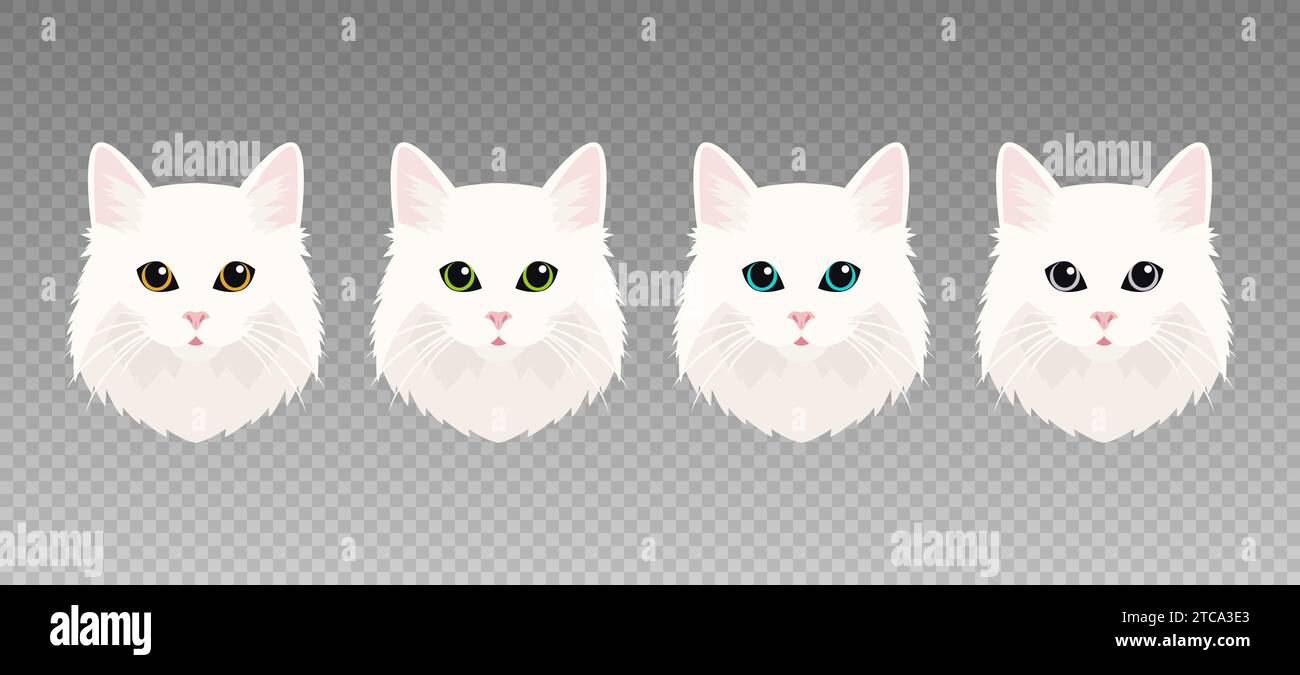 Vector Flat Cats Eye of a White Cat. Cat Face with Eyes, Nose, Whiskers ...
