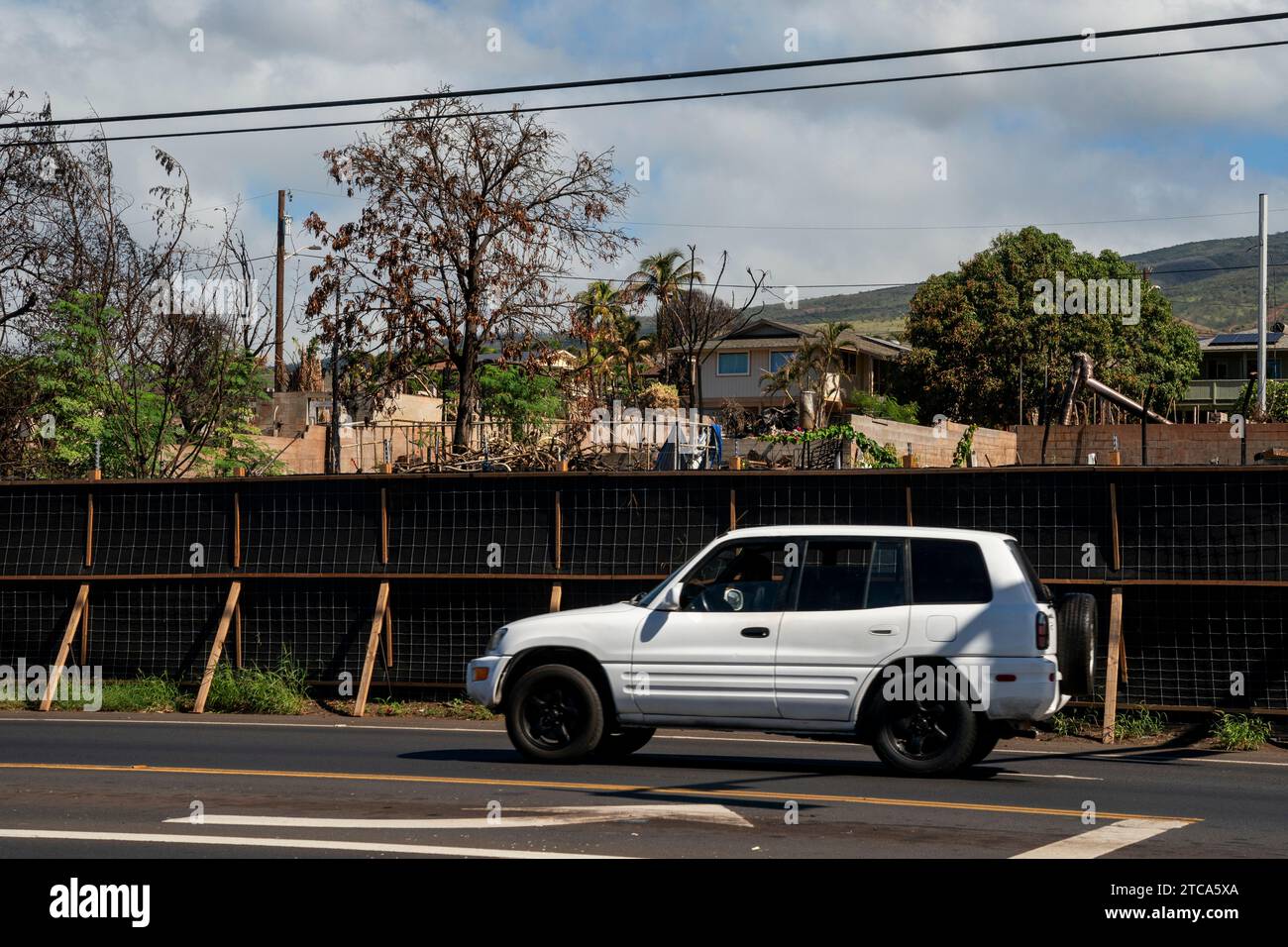 A car drives along Hawaii Route 30 past fencing in front of properties ...